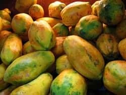 Papaya Recipes | Awesome Cuisine