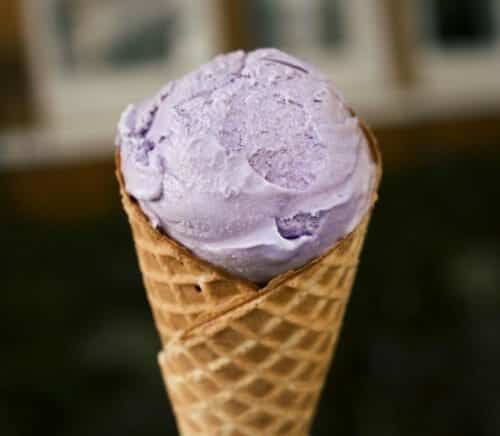 Jamun Fruit Ice Cream Recipe - Awesome Cuisine