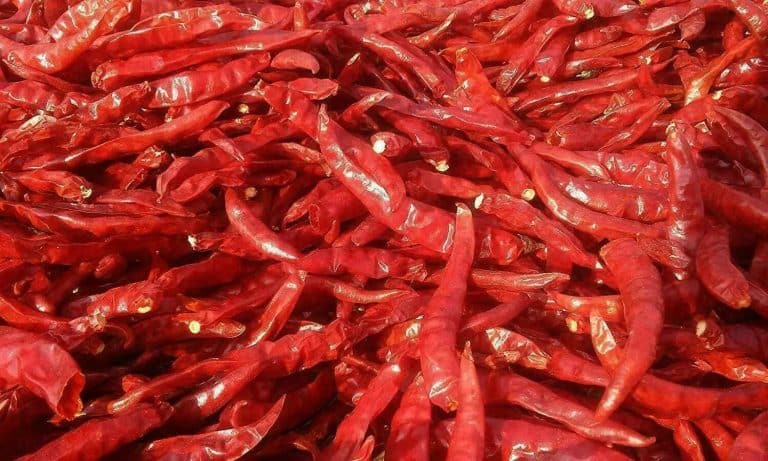 Explore the Different Types of Chillies in India - Awesome Cuisine