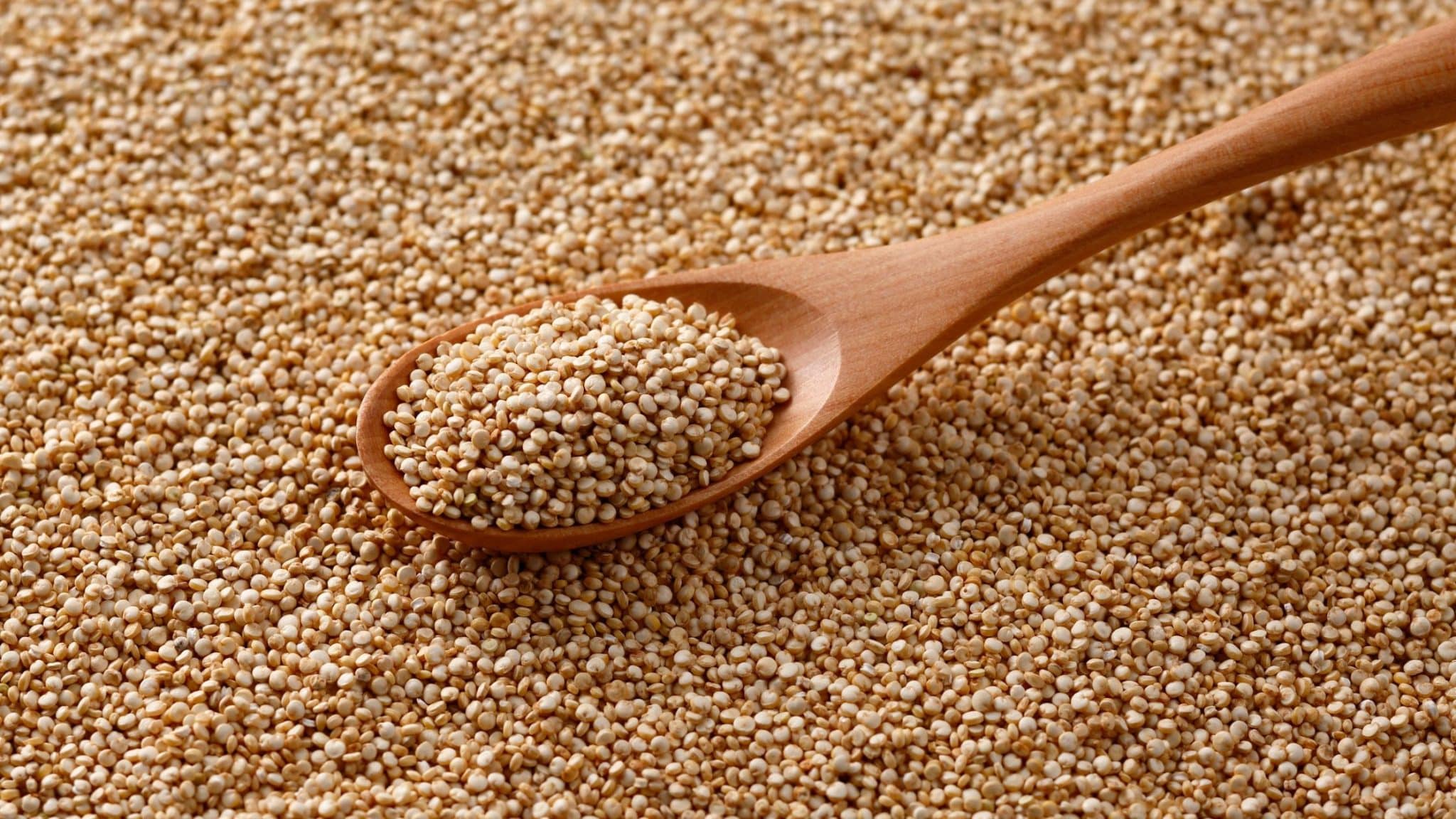 Want to Lose Kilos? 10 Protein Rich Food Veg for Weight Loss - Awesome ...